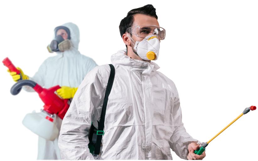 Apa Itu Fumigasi? Beserta Jenis, Proses, dan Manfaatnya - Proton