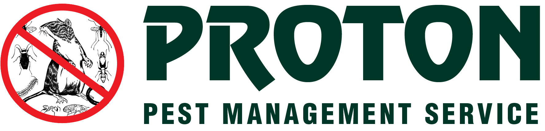 Tentang Kami - Proton